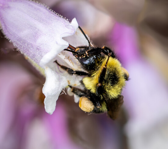 treasure38 by cathy custer donohoue by Cathy Donohoue · 365 Project