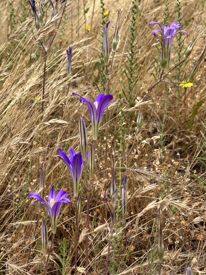 Another POV by Shutterbug · 365 Project