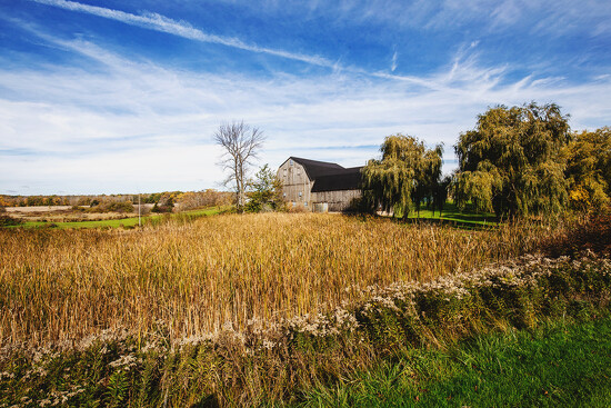 Lake Erie Farm by Peter Dulis · 365 Project
