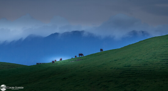 Blue hour and the Kaimai Ranges by Carole G · 365 Project