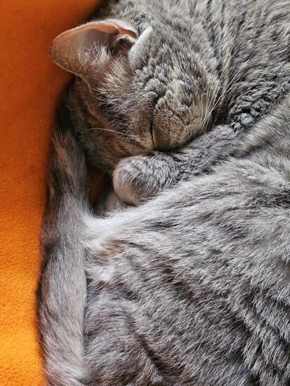 Cozy by eDorre · 365 Project