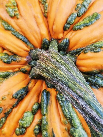 Bumpy by eDorre · 365 Project