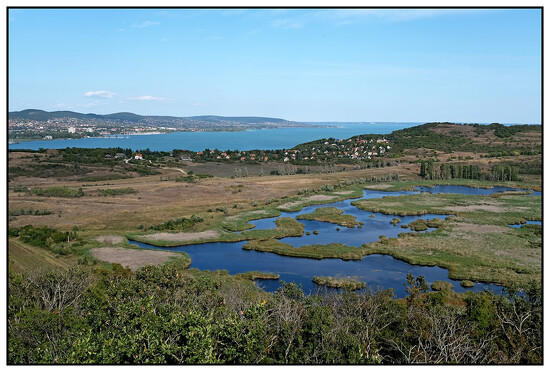 1005-F4356 by borof · 365 Project