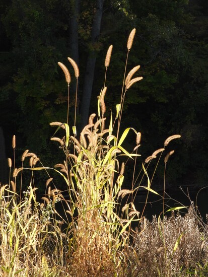 12october by amyK · 365 Project