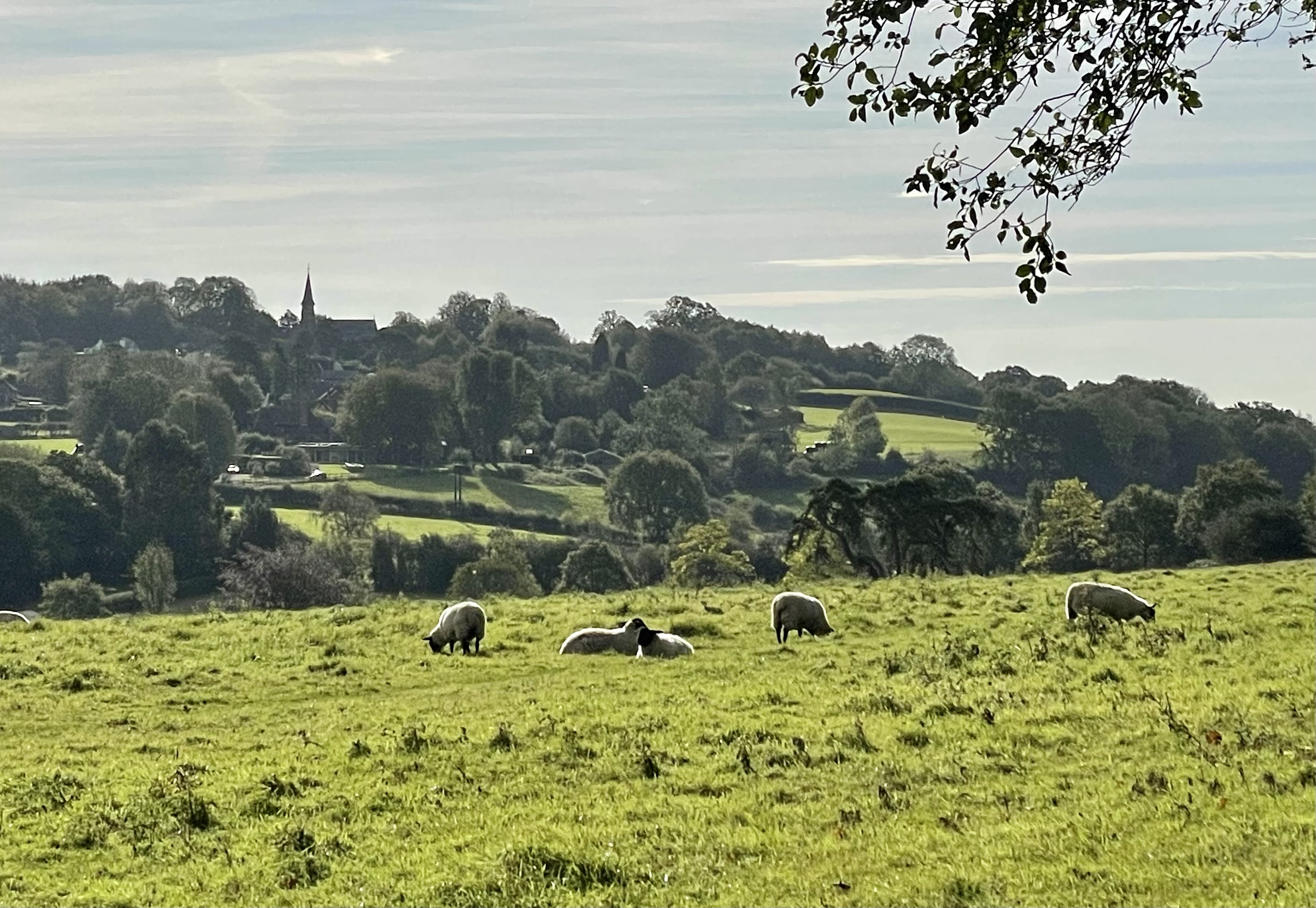 A bucolic scene by Jeremy Cross · 365 Project