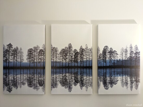 Picture of a Picture by Thom Mitchell · 365 Project