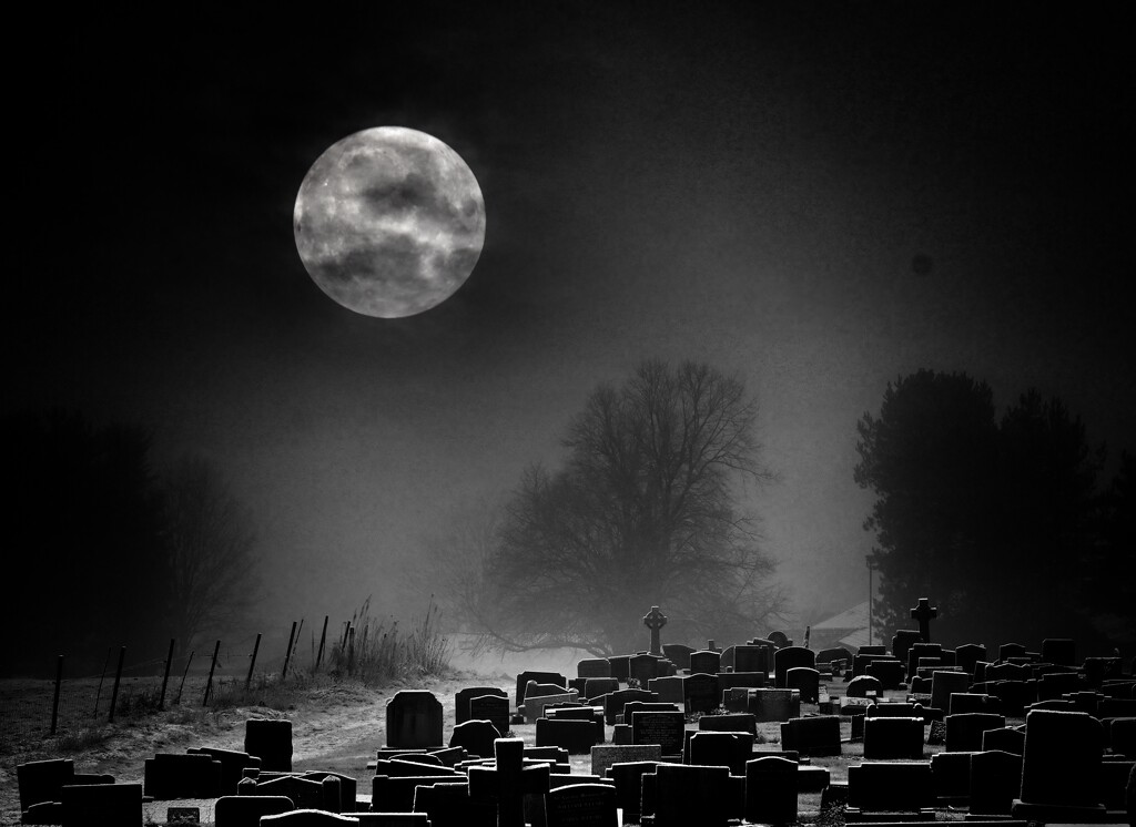 Creepy edits by Wendy Stout · 365 Project