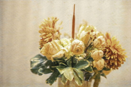 art flowers by Kathy Burzynski · 365 Project