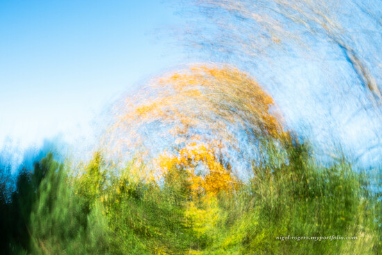 In camera abstract by Nigel Rogers · 365 Project