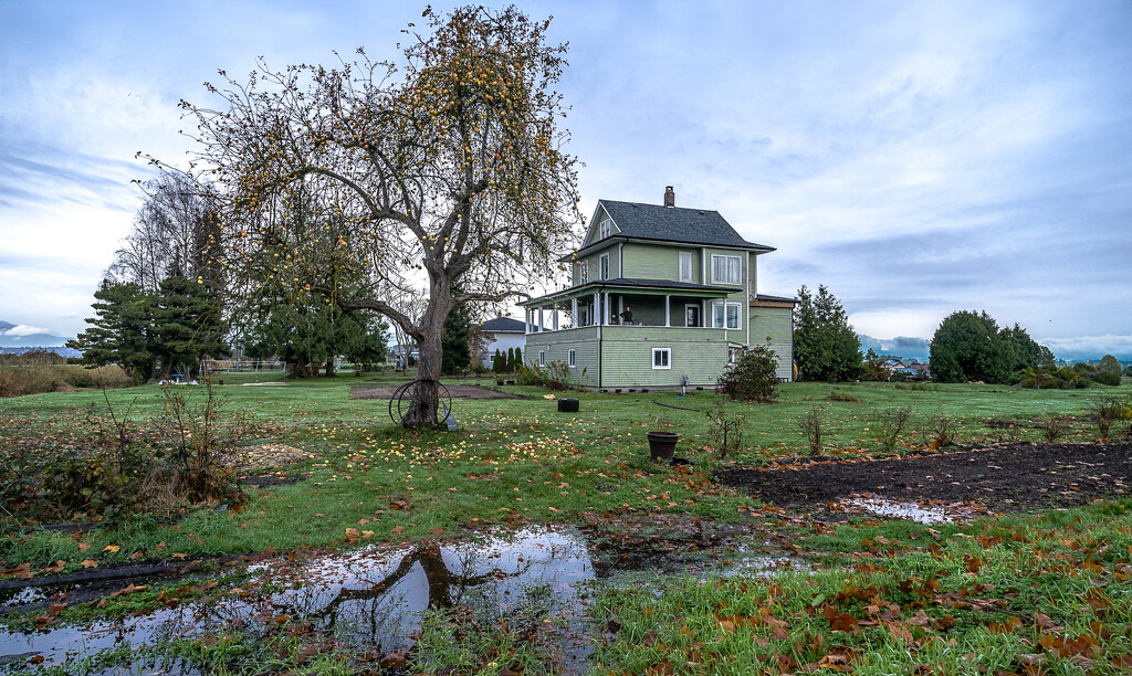 Apparently it’s true what they say…… by Chris Cook · 365 Project