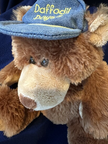 This is Daffodil by Shutterbug · 365 Project