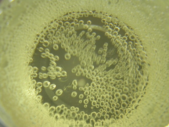 Sparkling Grape Juice Bubbles by Sam A. Feldstein · 365 Project