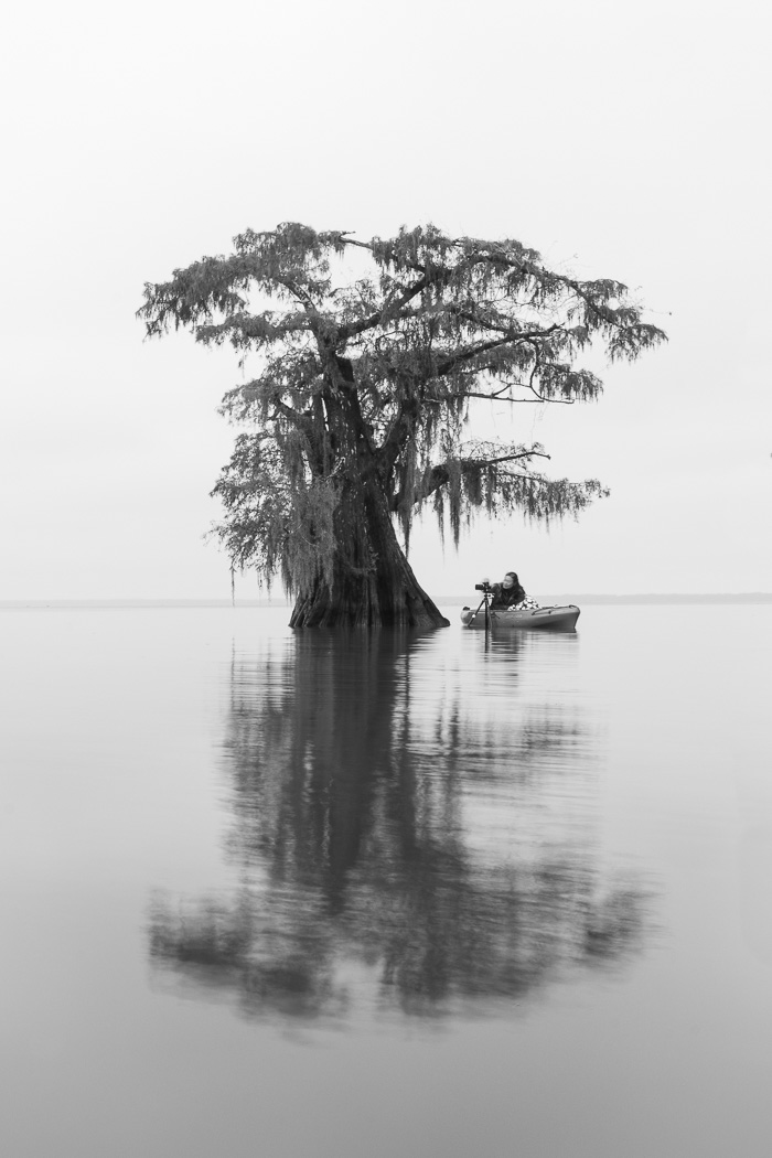 Kayak Photography in the Bayou by Junko Y · 365 Project