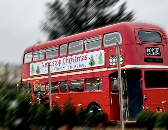 Next Stop Christmas by Renee Salamon · 365 Project