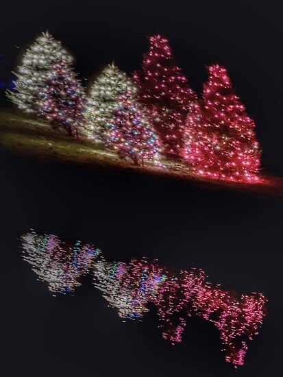 lights edited by amyK · 365 Project