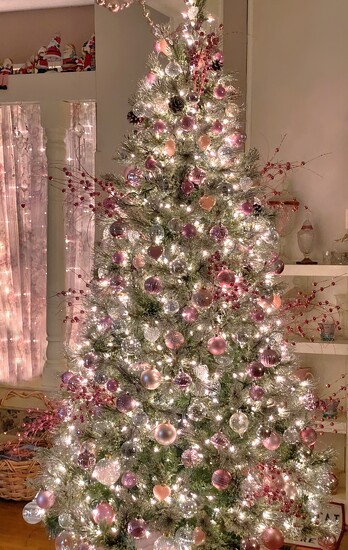 Tree 2023 by *lynn · 365 Project