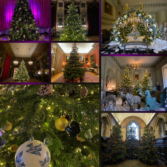 Extravaganza by Susan Wakely · 365 Project