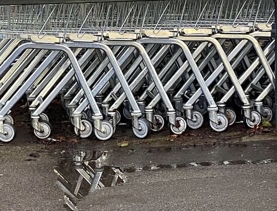 Patiently waiting by Susan Wakely · 365 Project