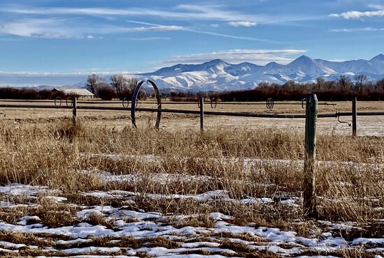 Hibernating Sprinklers by Joan · 365 Project