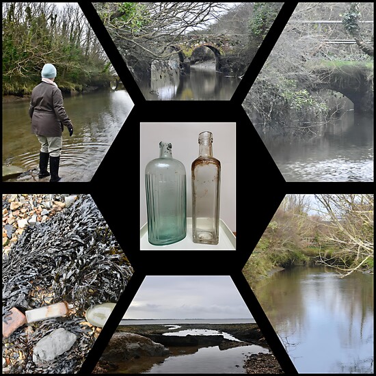 Fossicked finds by Susan Wakely · 365 Project