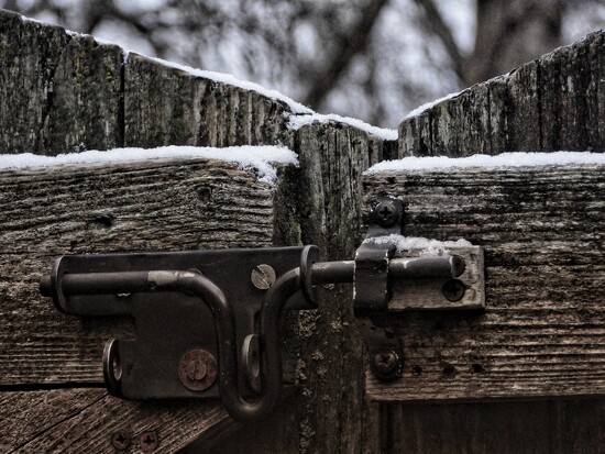 1january by amyK · 365 Project