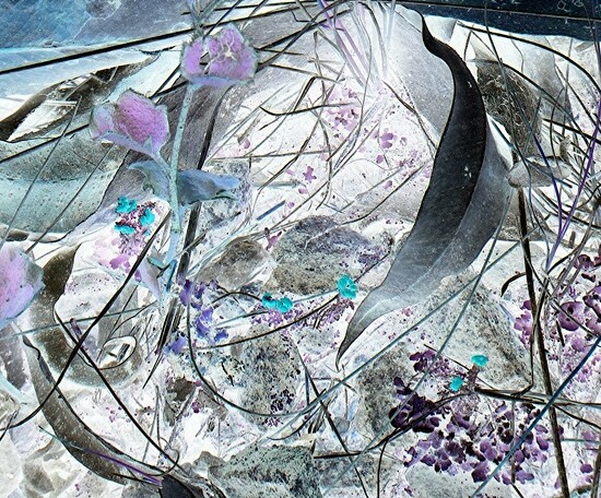 Tiny, red, spore capsules turned blue... by Rob Z · 365 Project