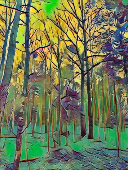 Muse Details option... by Mags · 365 Project