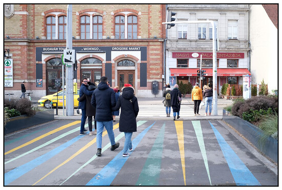 0102-F6580 by borof · 365 Project