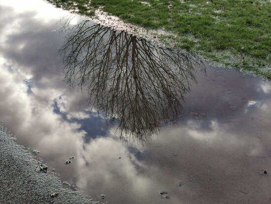 Picturesque Puddle by plainjaneandnonnonsense · 365 Project