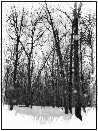 Snowy Sunday Morning by Ann H. LeFevre · 365 Project