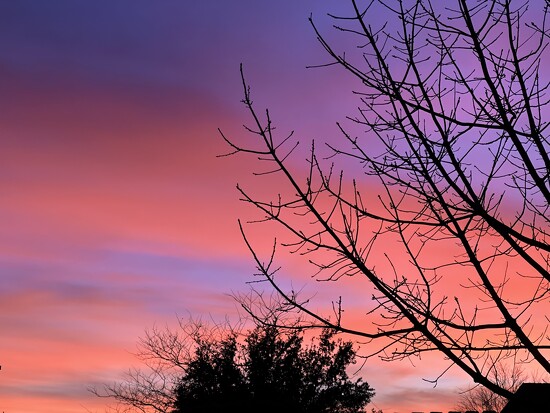 Tonight’s Sunset by Shutterbug · 365 Project