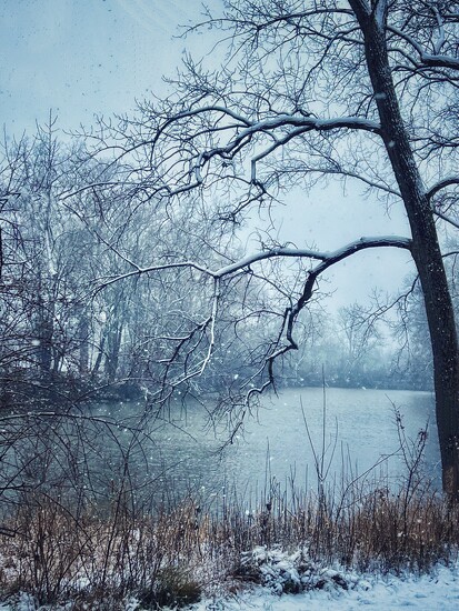 10january by amyK · 365 Project