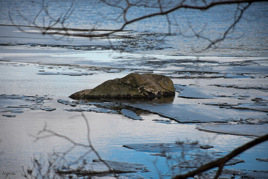 Frozen bits by Nova · 365 Project