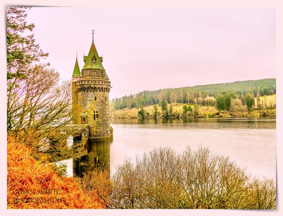 The Straining Tower,Lake Vyrnwy,Wales by carol white · 365 Project