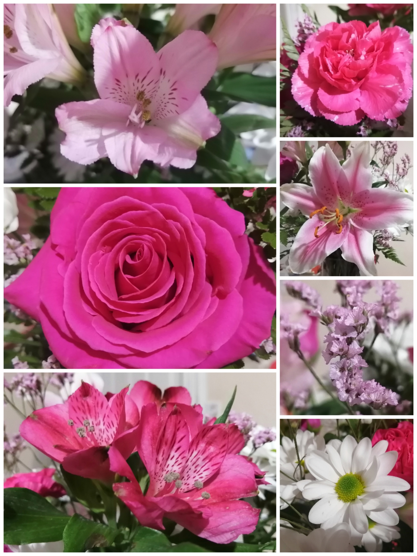 Pink and White Flowers by Jessica Eby · 365 Project