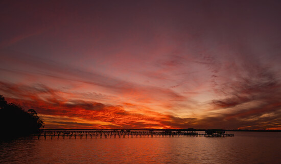 The Color Came Back Tonight! by Rick · 365 Project