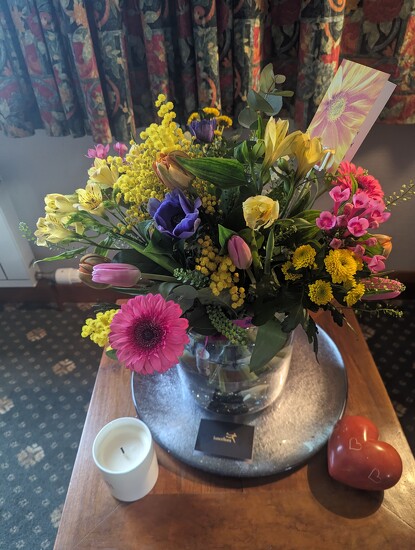 Flowers from Evie by Sarah Bremner · 365 Project