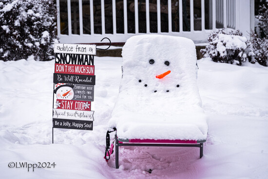 Flat Stanley The Snowman by Leslie · 365 Project