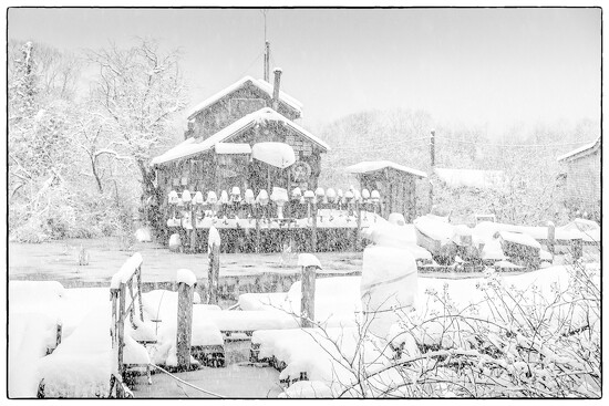 Finn Slough, Snow Storm by Chris Cook · 365 Project