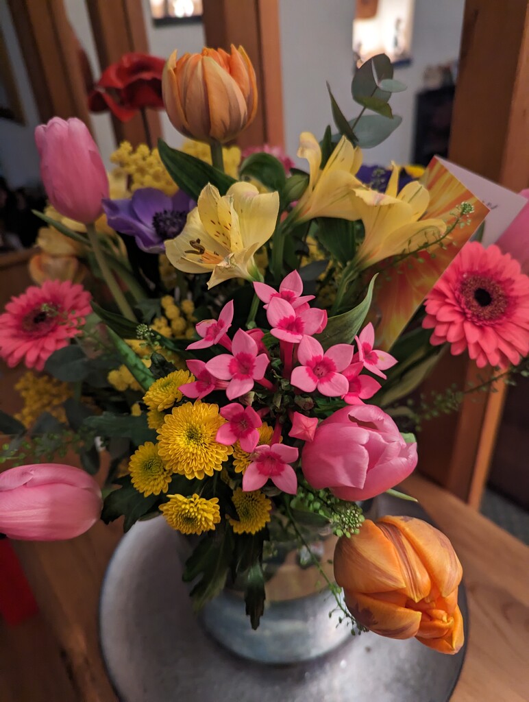 Flowers from Evie by Sarah Bremner · 365 Project