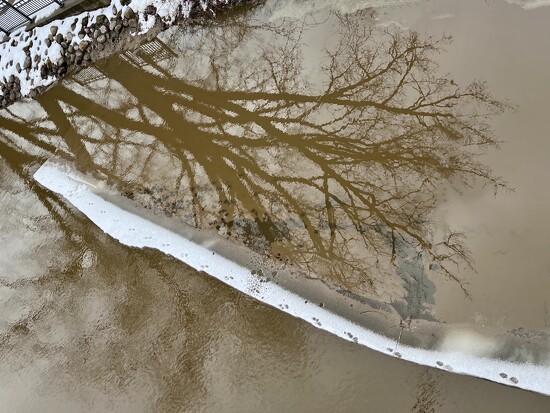 Ice prints by amyK · 365 Project