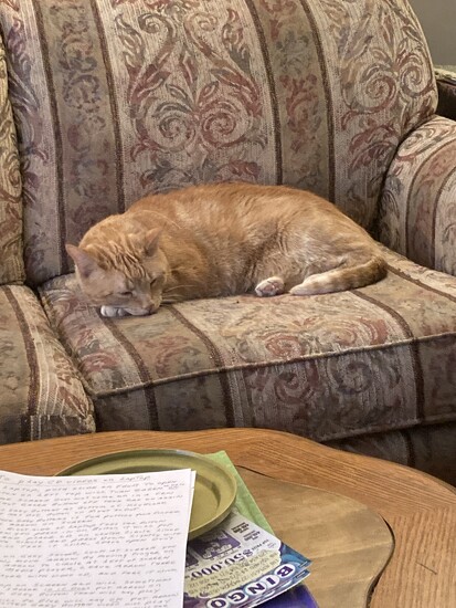 Sleepy Karnet by Liz Milne · 365 Project