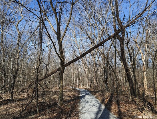 What are the chances? by Thom Mitchell · 365 Project