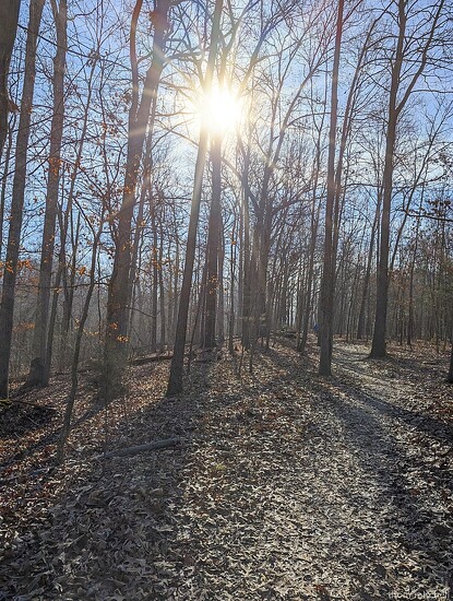 Morning hike by Thom Mitchell · 365 Project