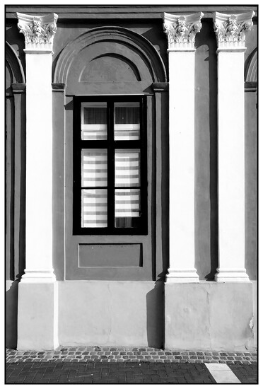 0216-F7403F by borof · 365 Project