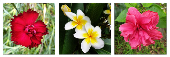 Bouncing Back by Babs · 365 Project