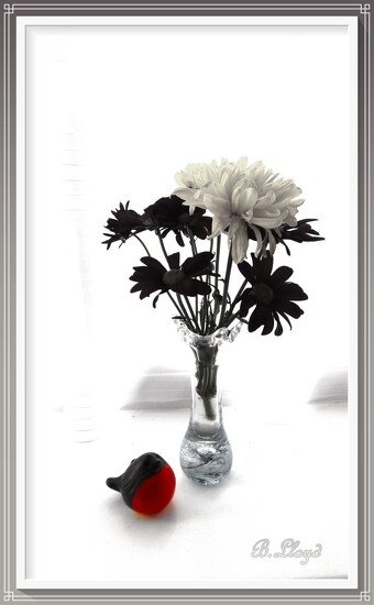 Robin. by Beryl Lloyd · 365 Project