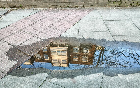 A world in a puddle by Boxplayer · 365 Project