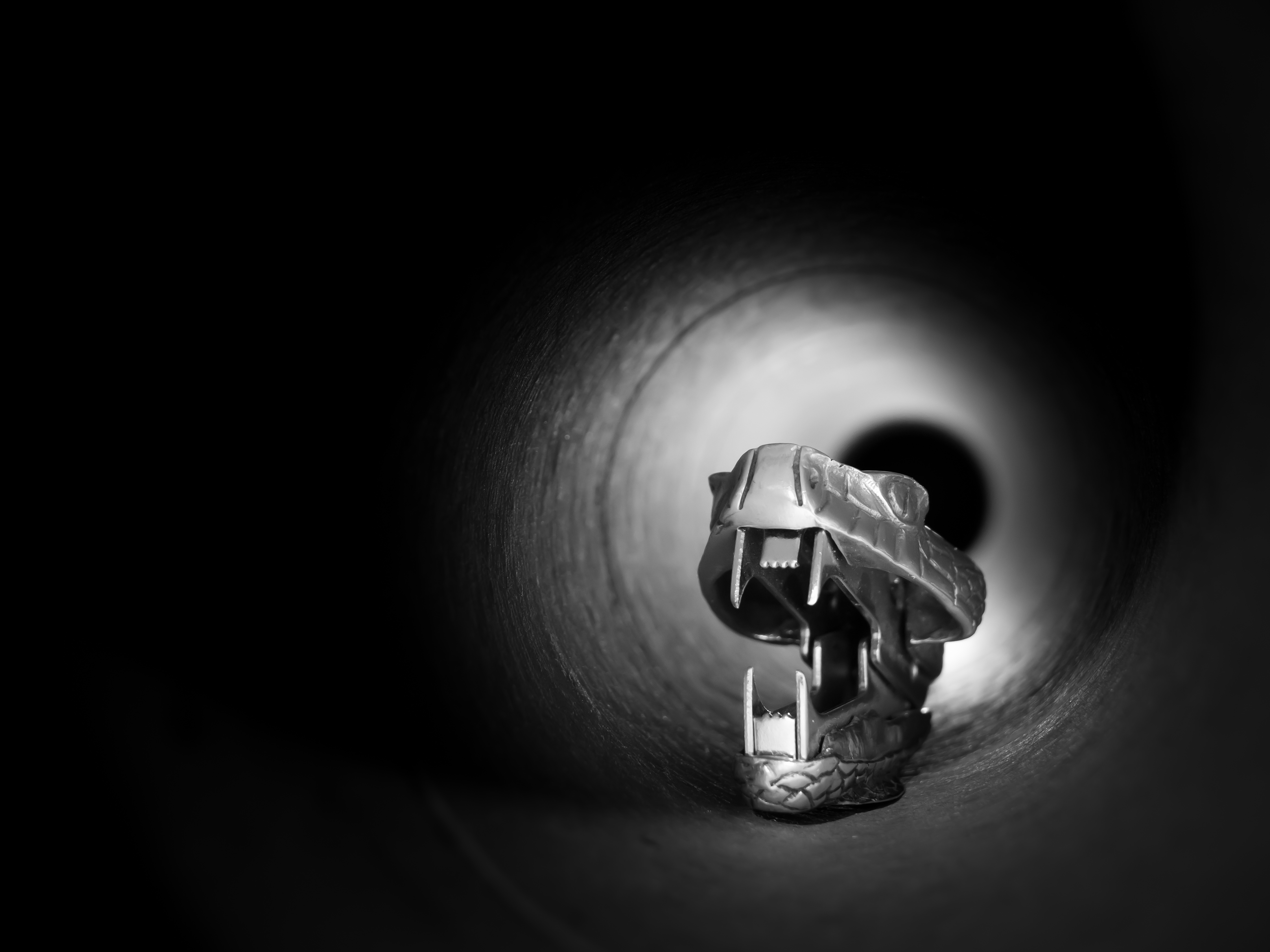 The basilisk…. by ☠northy 🇨🇦 · 365 Project