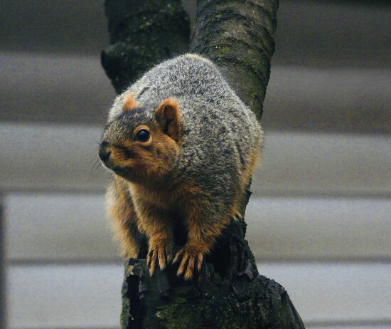 Being watched by amyK · 365 Project